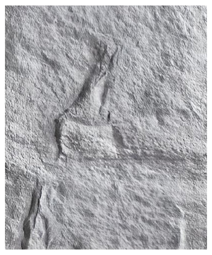 PU Boards - Stone Skin – źéidis